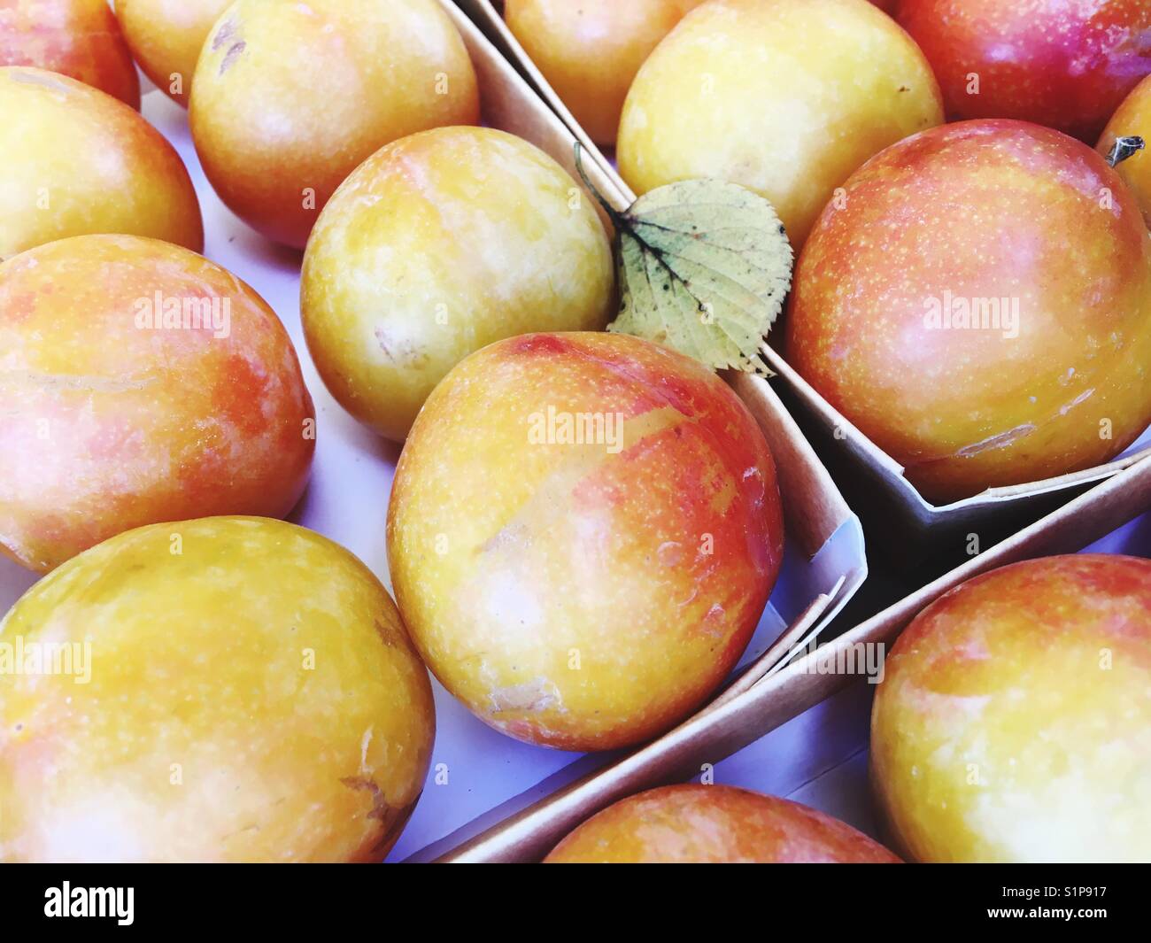 Prunes jaunes Banque de photographies et d’images à haute résolution ...