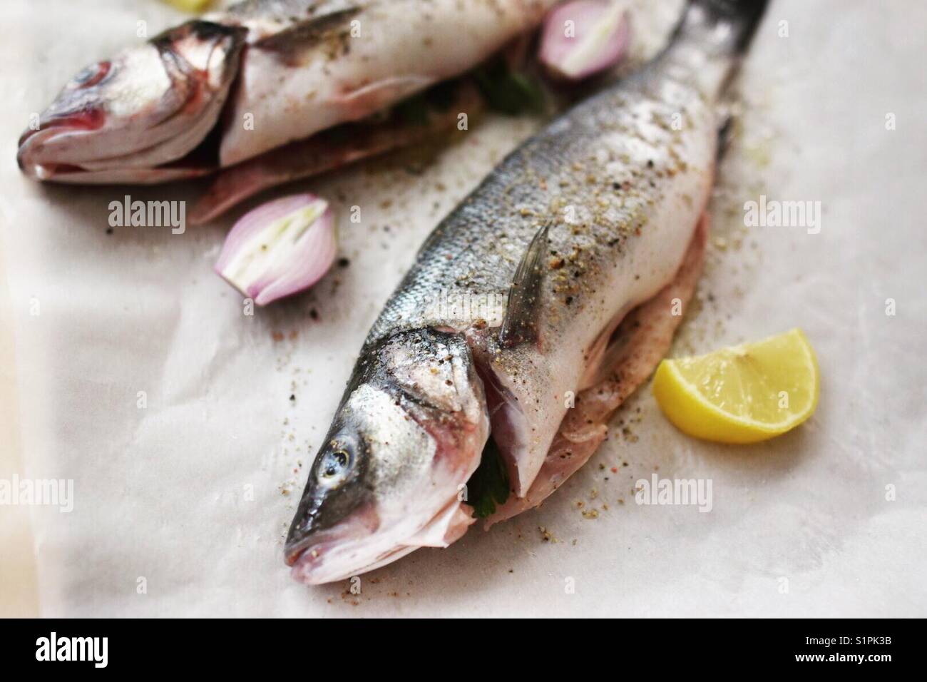 Jour du poisson Banque de photographies et d’images à haute résolution ...
