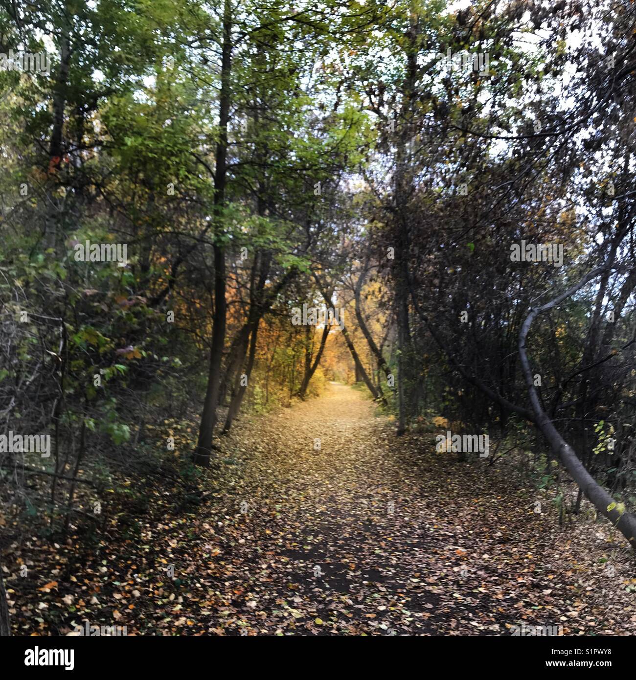 Edmonton alberta Banque de photographies et d’images à haute résolution ...