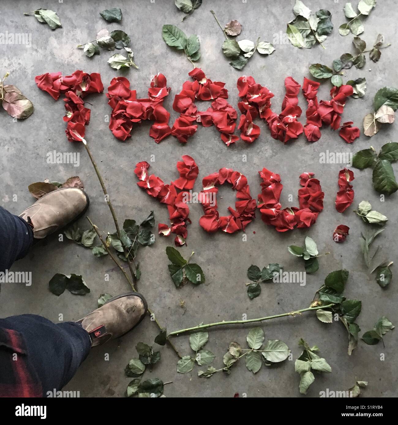 Merci avec des fleurs Banque de photographies et d’images à haute ...