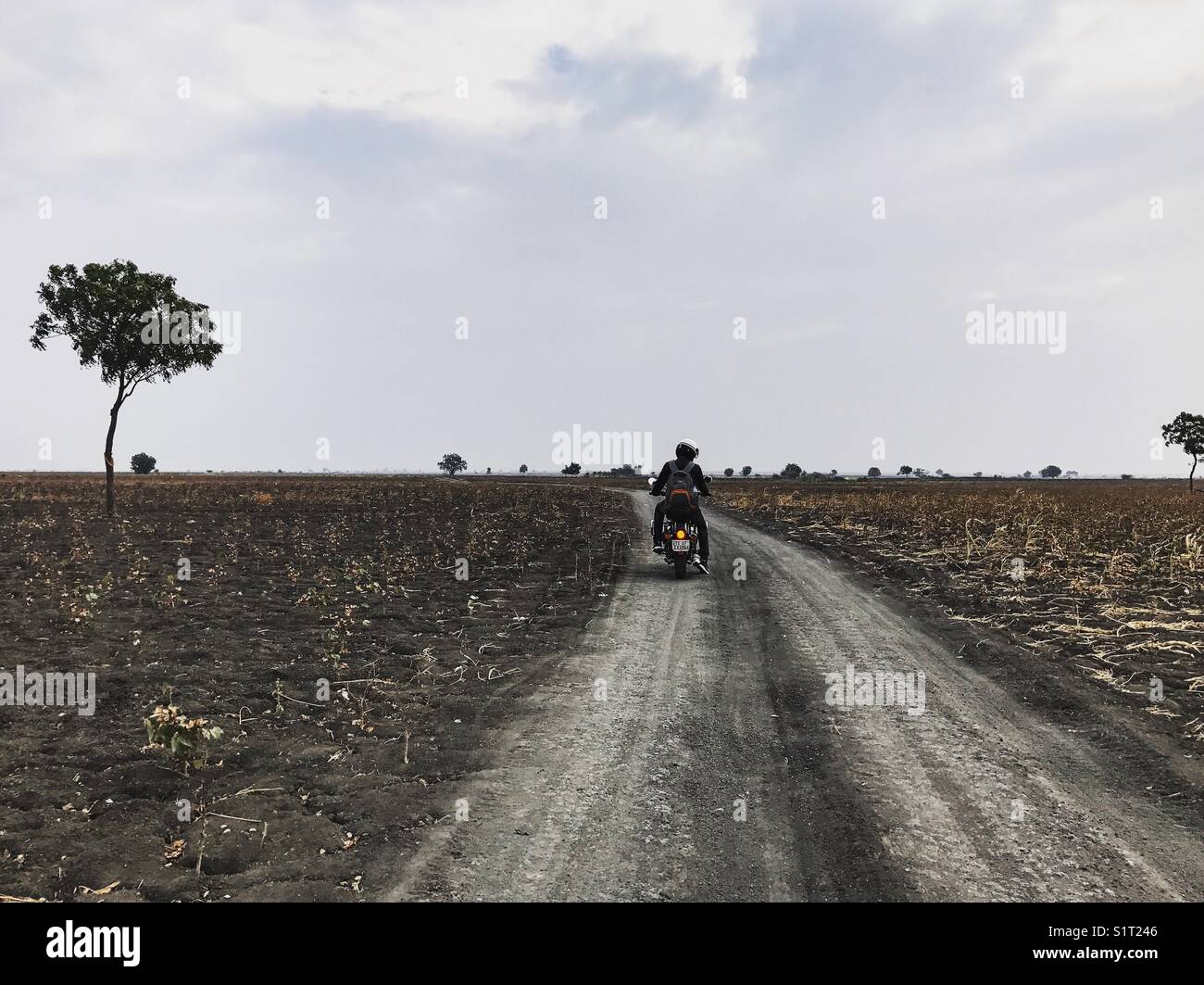 Cavalier solitaire Banque de photographies et d’images à haute ...