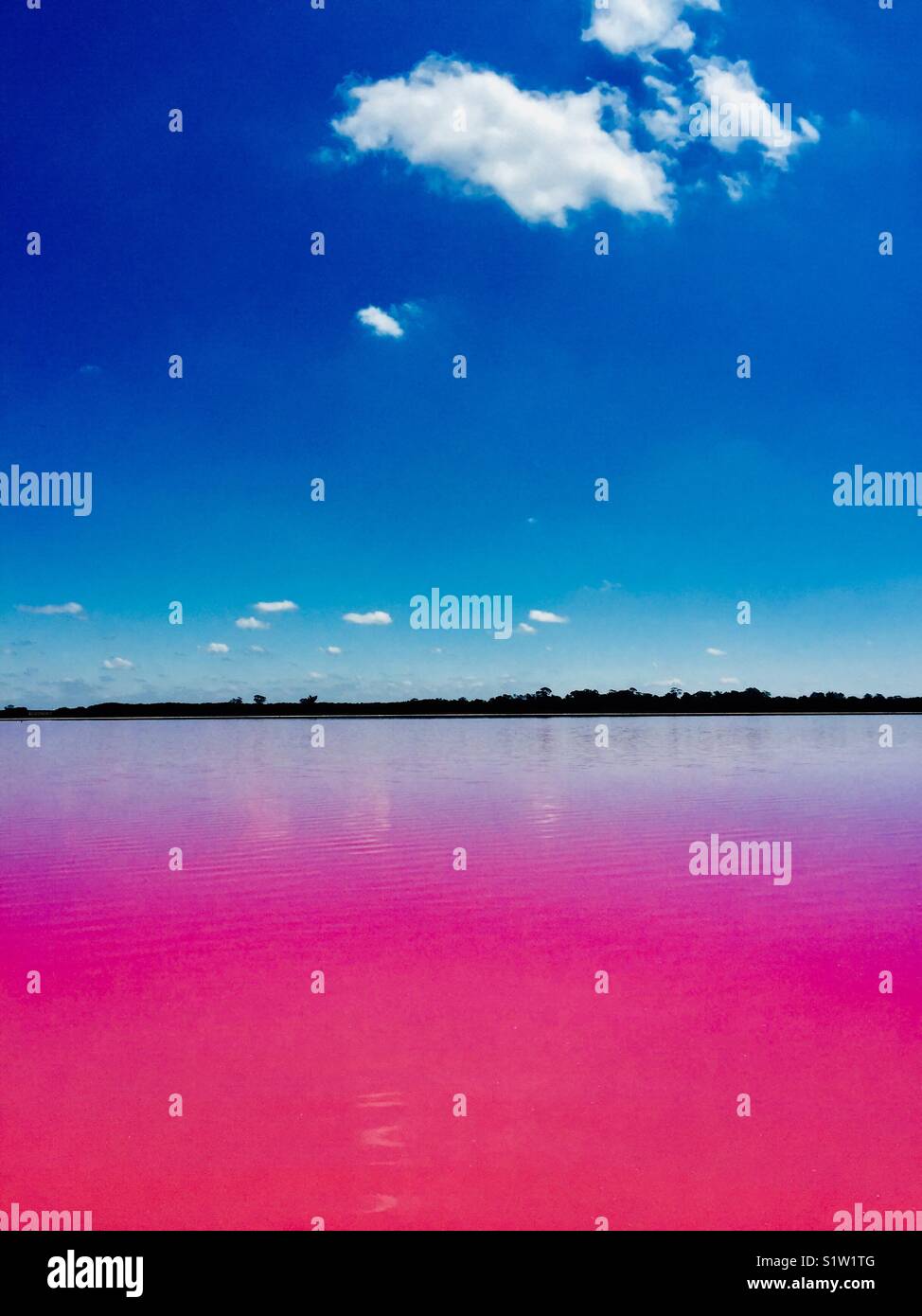 Lac rose australie Banque de photographies et d’images à haute ...