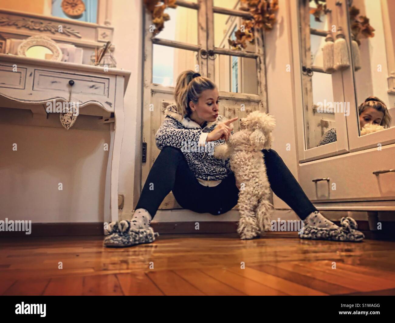 Amour de chien Banque de photographies et d’images à haute résolution ...