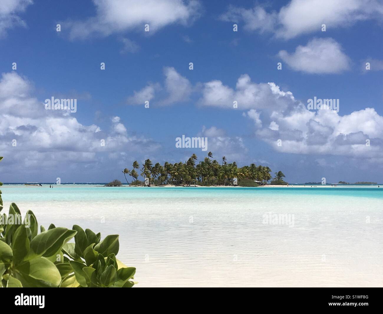 Lagon Bleu De Rangiroa Banque d'image et photos - Alamy