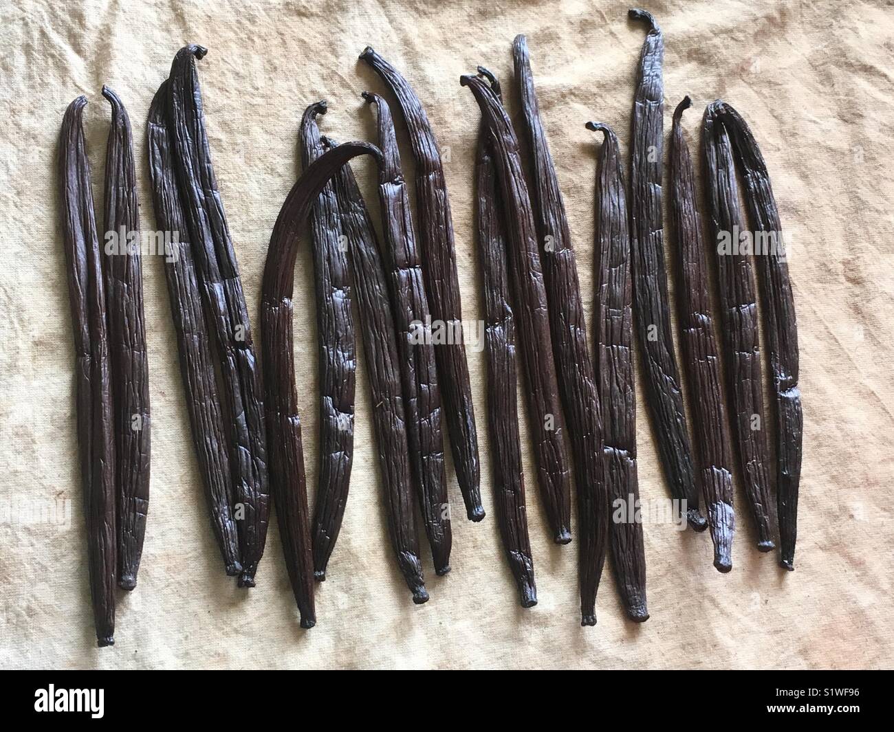 Gousse de vanille Banque de photographies et d’images à haute ...