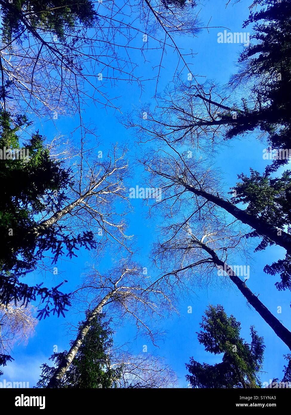 Ciel azur Banque de photographies et d’images à haute résolution - Alamy