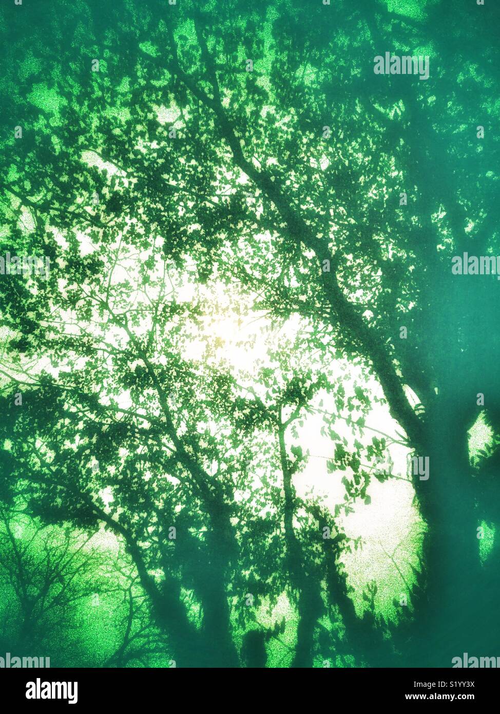 Vision de nuit Banque de photographies et d’images à haute résolution ...