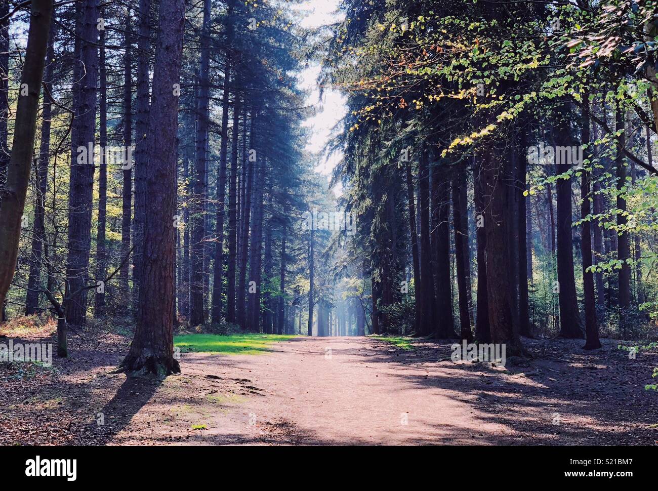 Wexham park Banque de photographies et d’images à haute résolution - Alamy