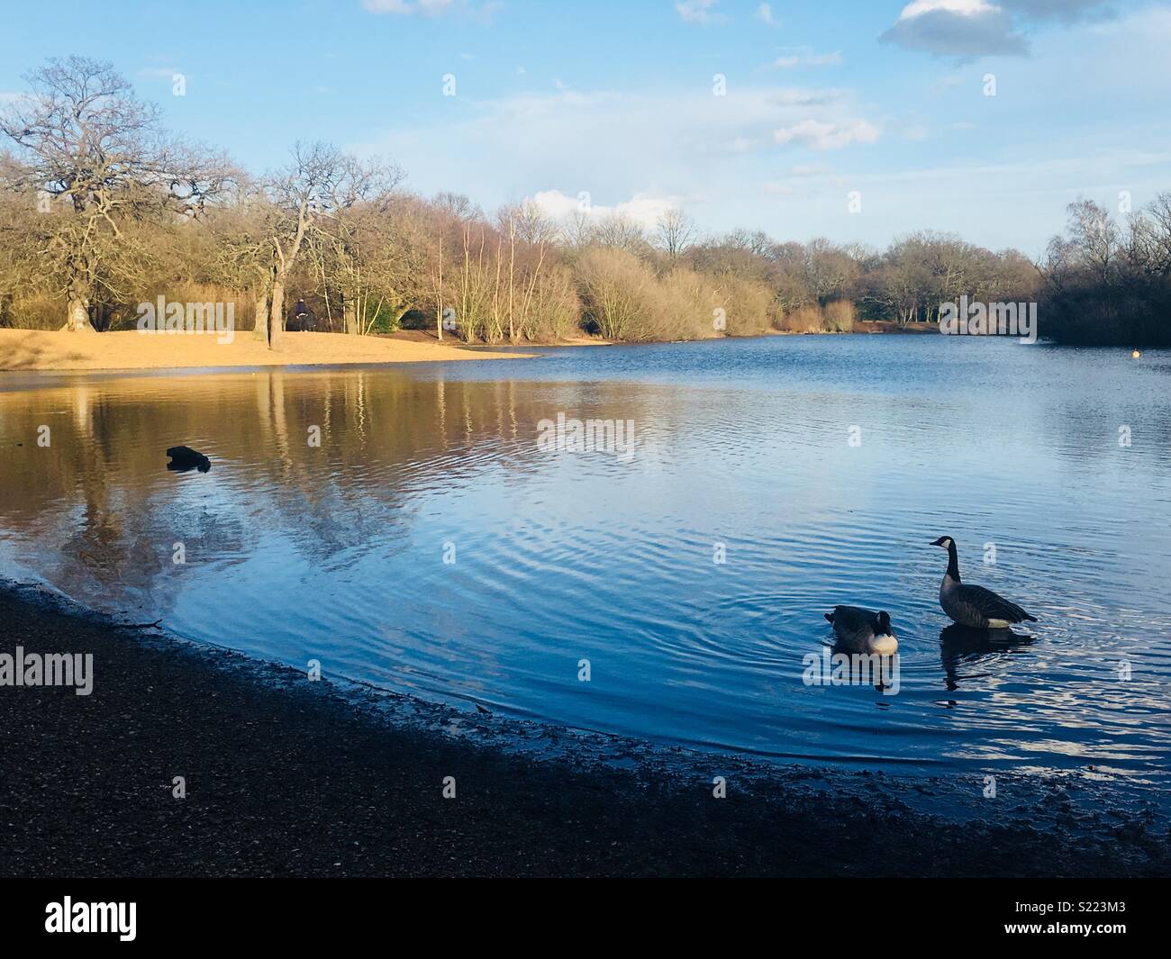 Whipps cross Banque de photographies et d’images à haute résolution - Alamy