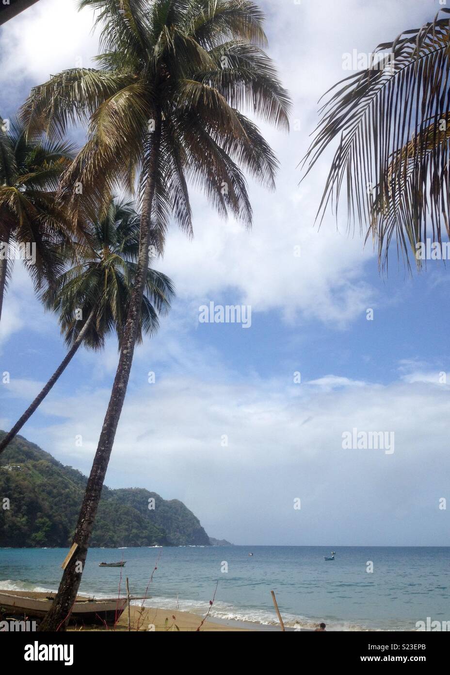 Castara bay beach Banque de photographies et d’images à haute ...