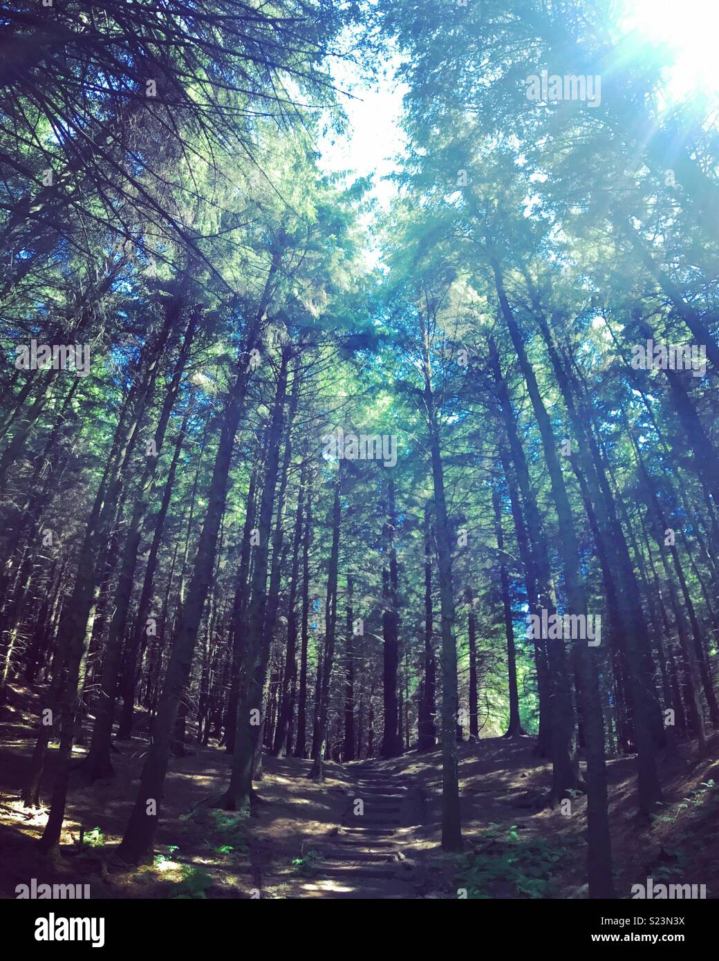 Macclesfield forest Banque de photographies et d’images à haute ...