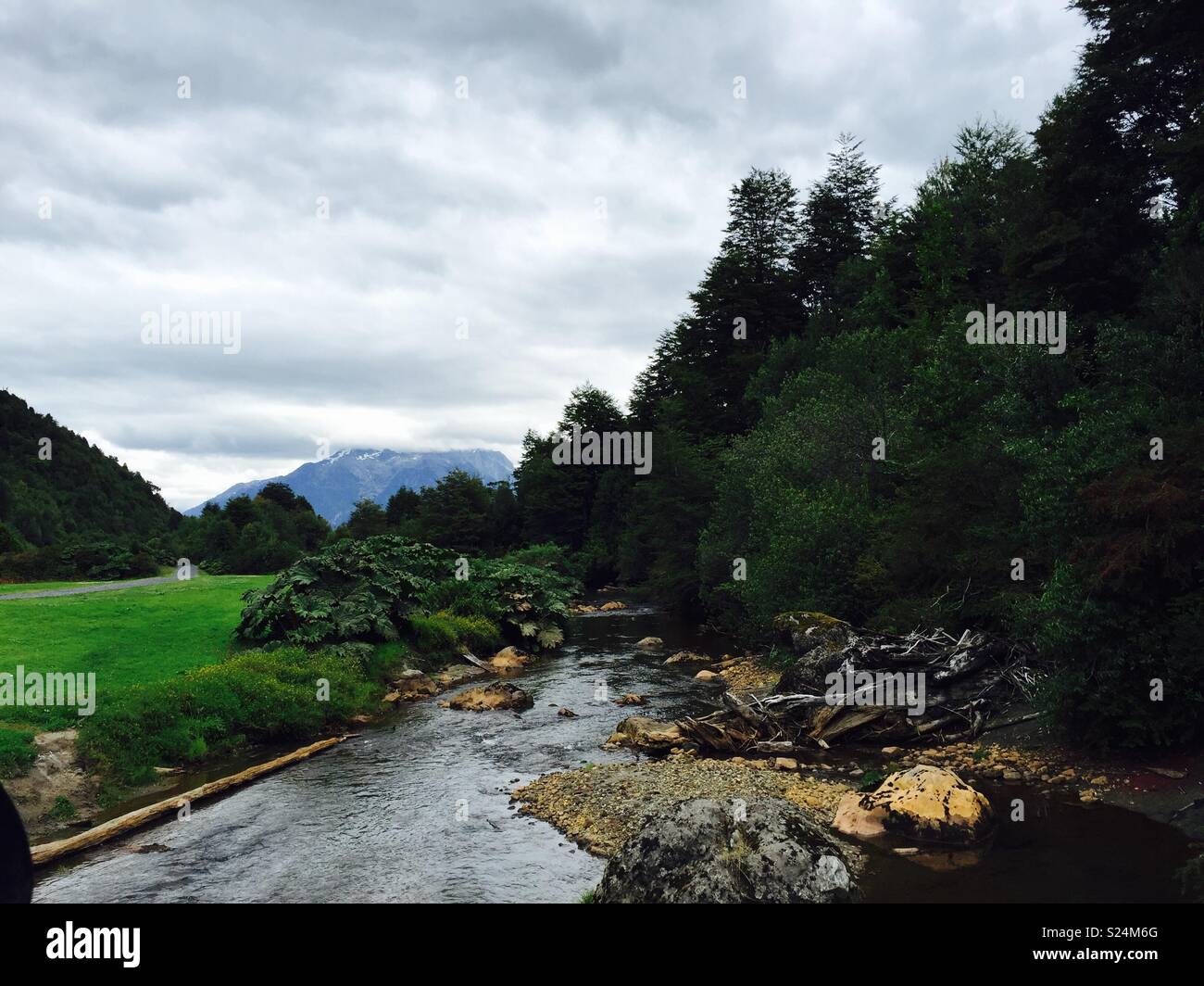 Parque pumalin Banque de photographies et d’images à haute résolution ...