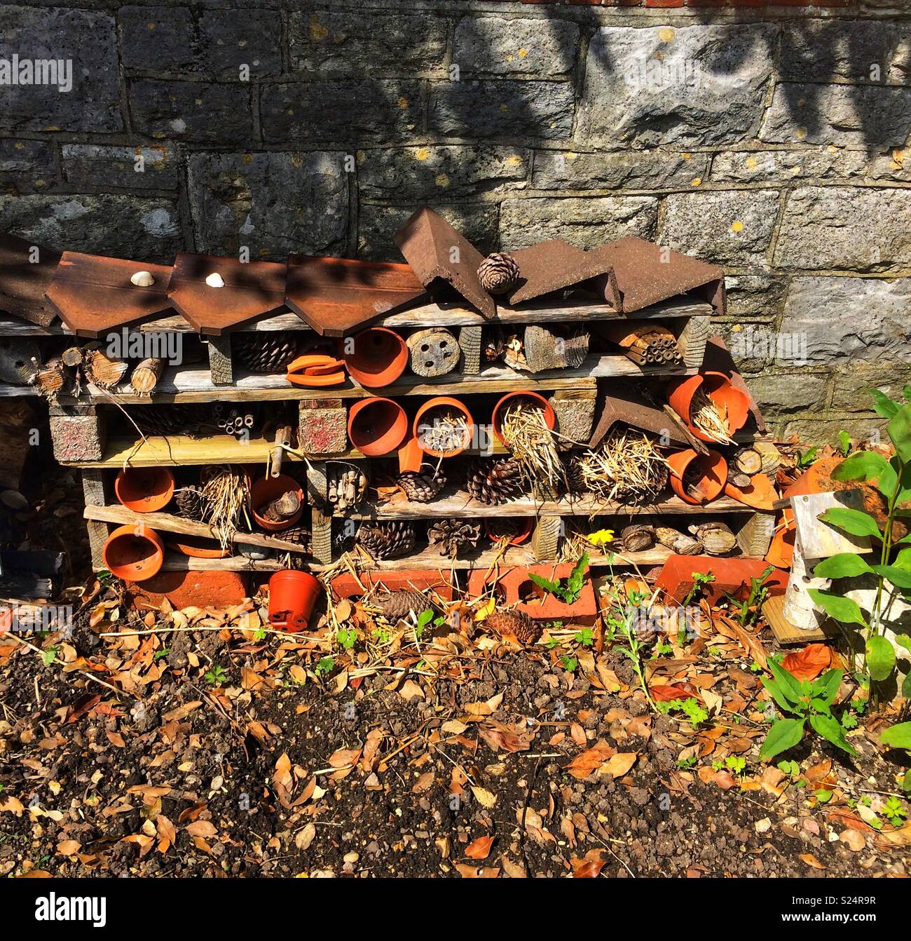 Insect home Banque de photographies et d’images à haute résolution - Alamy