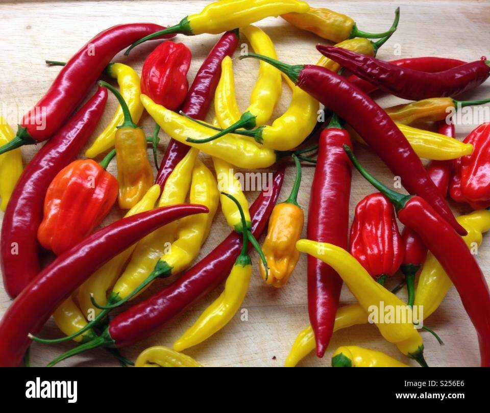 Piments aji jaunes Banque de photographies et d’images à haute ...