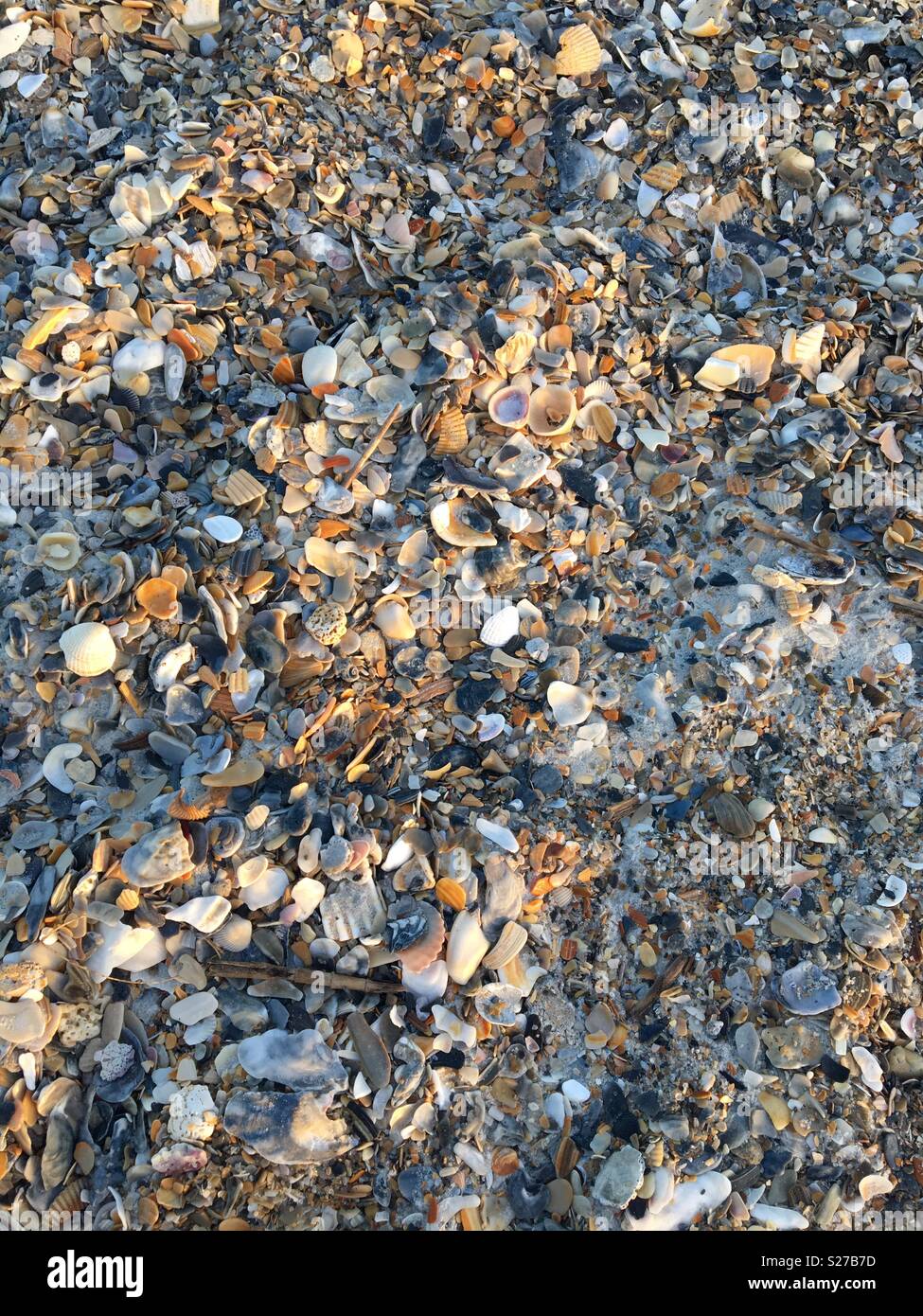 Crushed shells Banque de photographies et d’images à haute résolution ...