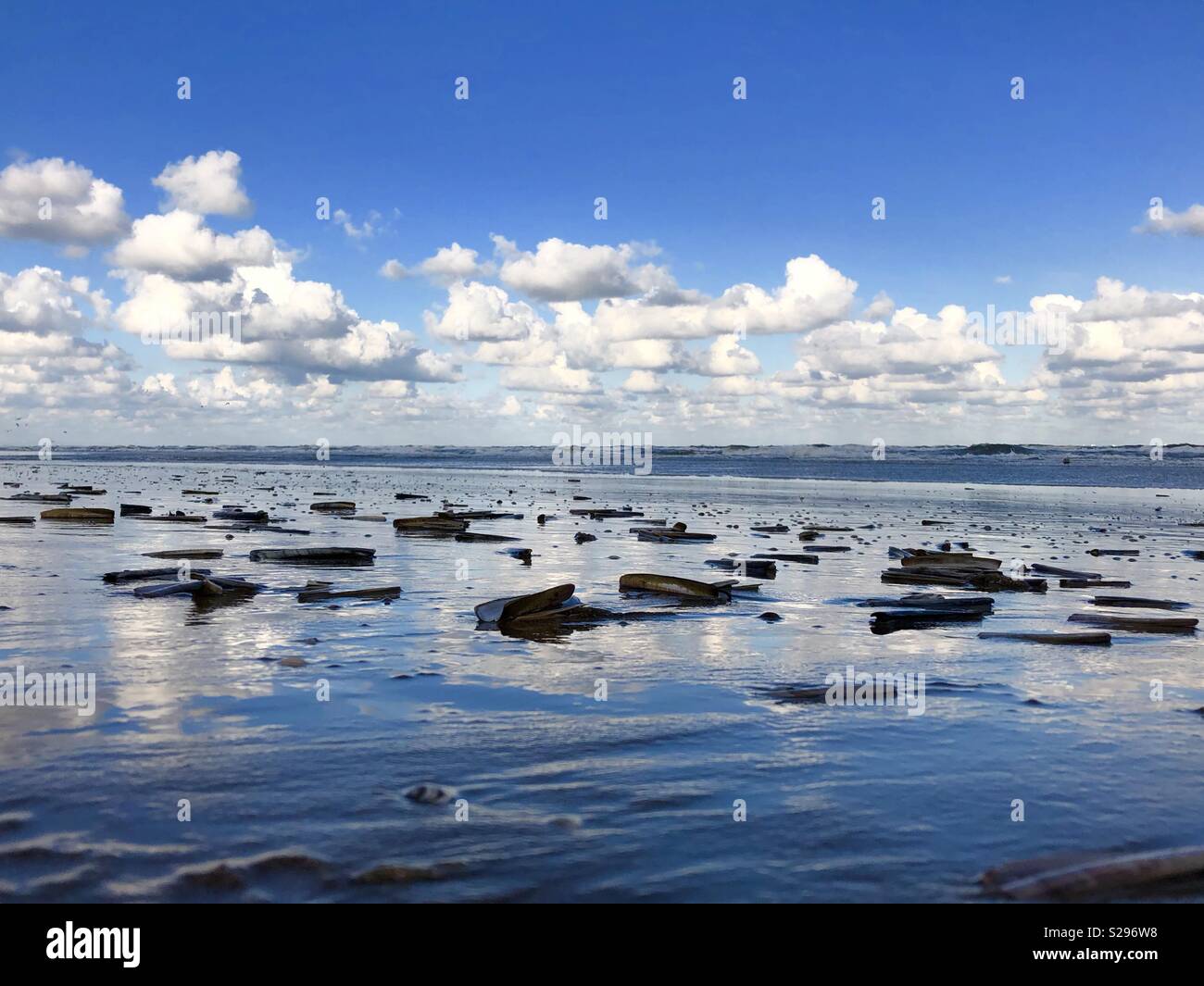 Katwijk nl Banque de photographies et d’images à haute résolution - Alamy