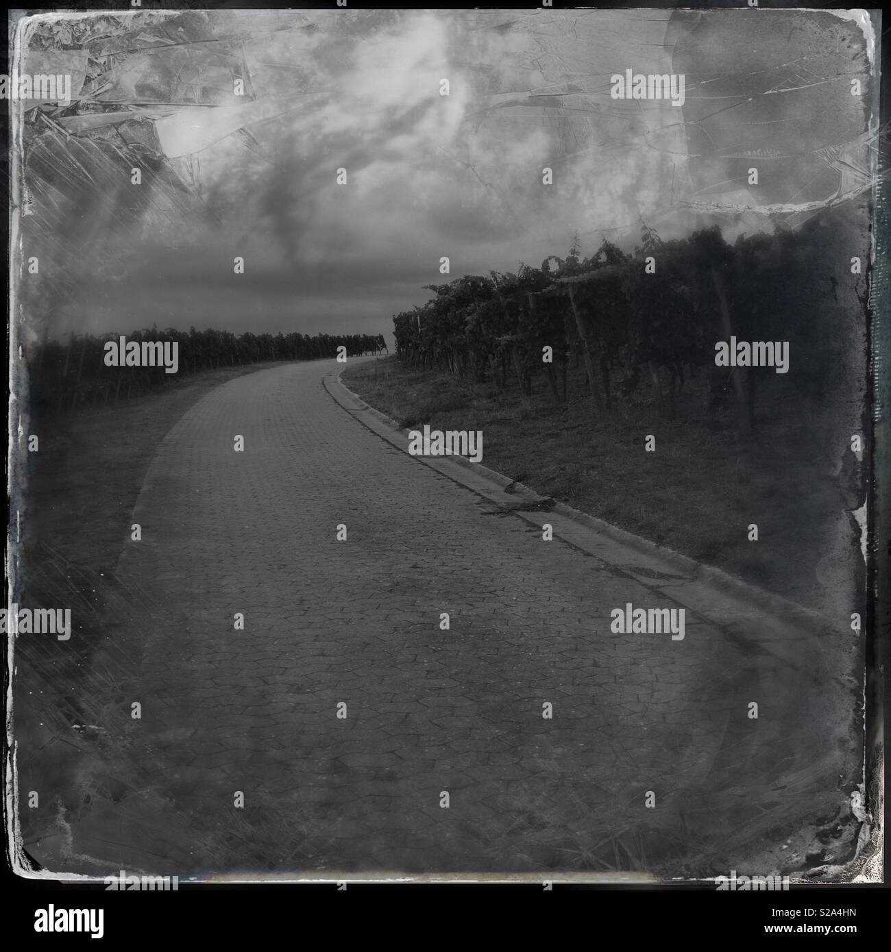 Route sombre Banque de photographies et d’images à haute résolution - Alamy