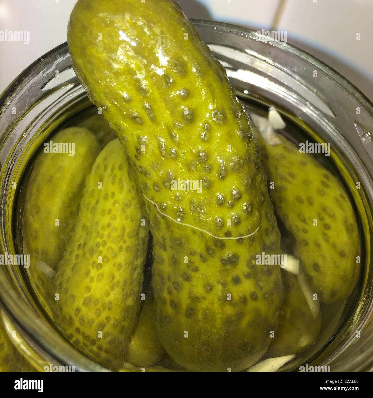 Cornichon ou cornichon Banque de photographies et d’images à haute ...