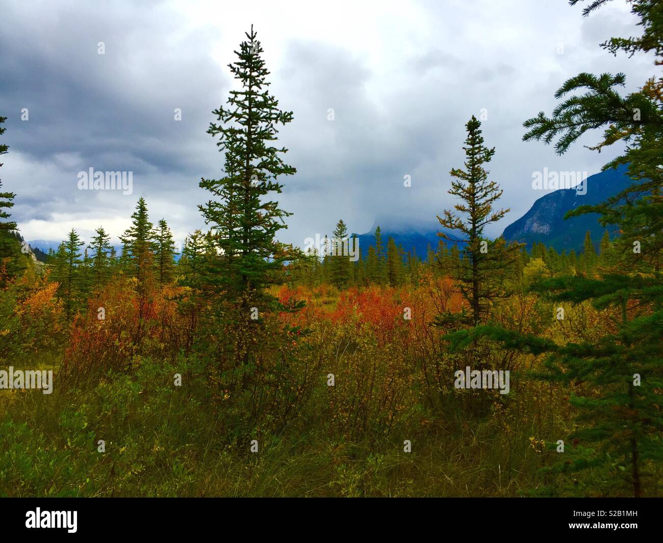 Lacs Vermillion, Banff National Park, Alberta, Canada, couleurs de l ...
