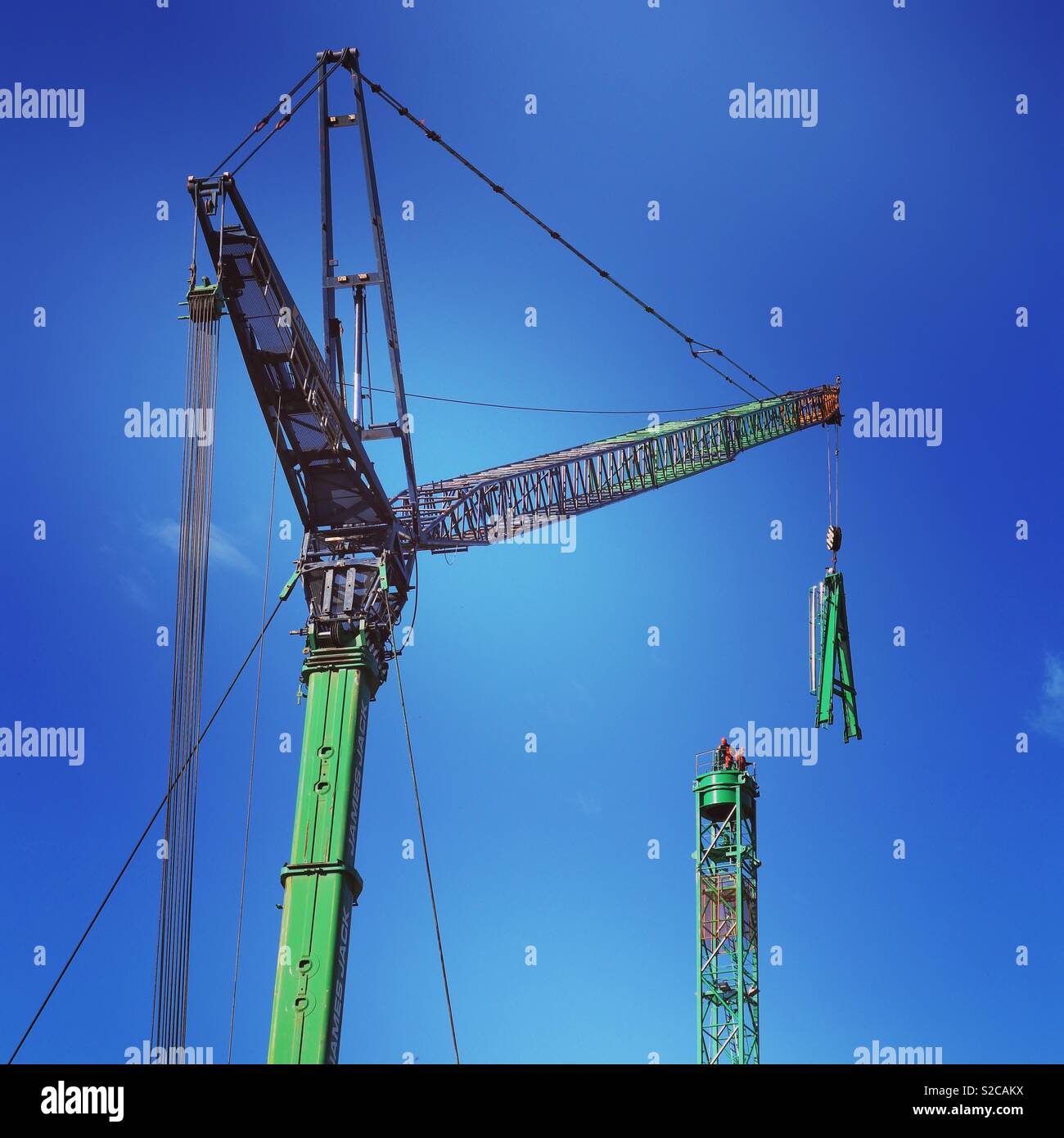Grue verte Banque de photographies et d’images à haute résolution - Alamy