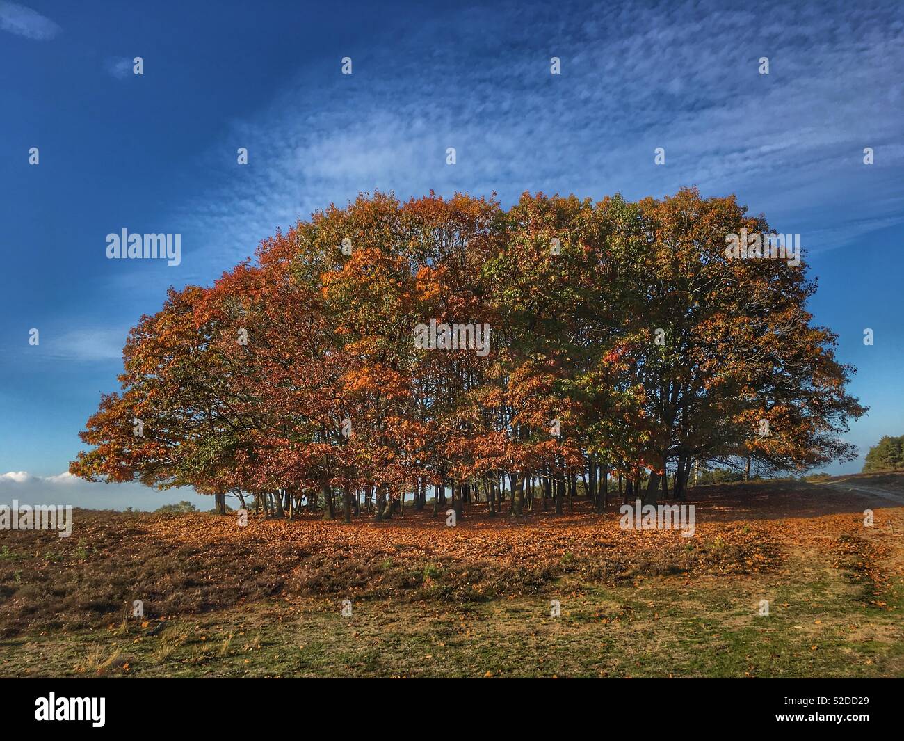 Allez Les Couleurs Banque d'image et photos - Alamy