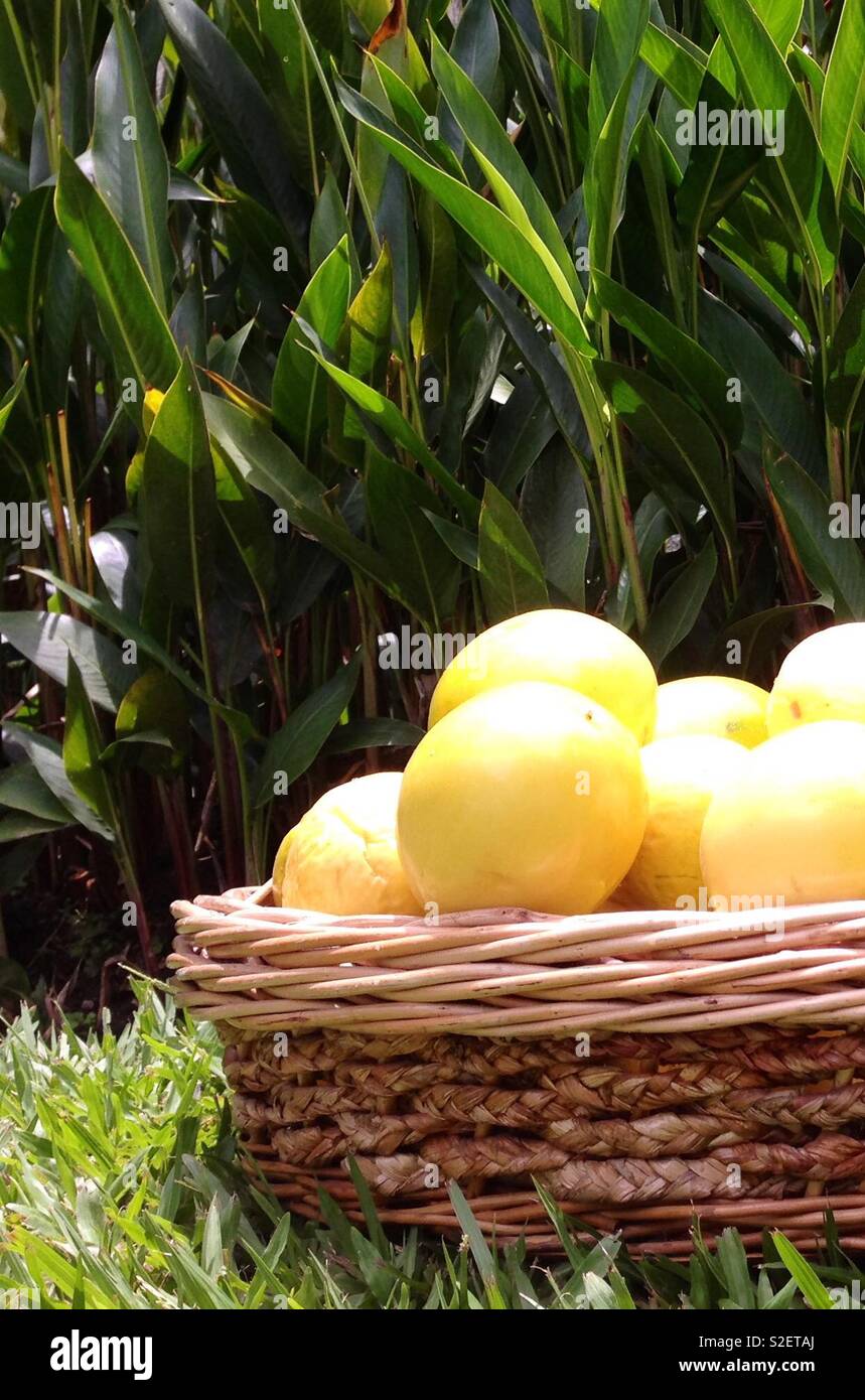 Fruits de jardin Banque de photographies et d’images à haute résolution ...