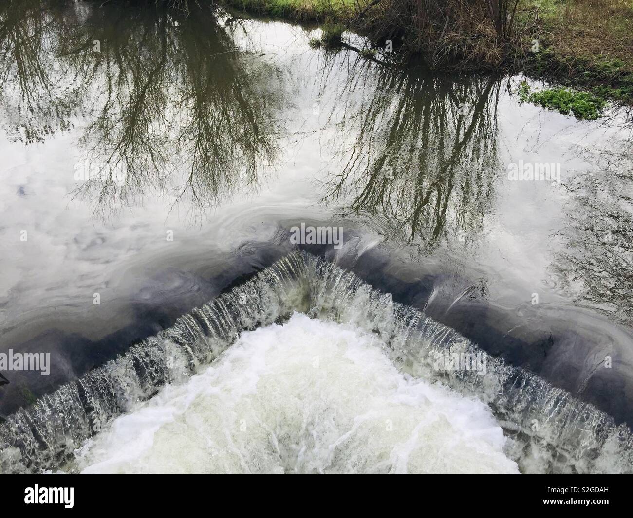 Weir trees Banque de photographies et d’images à haute résolution - Alamy
