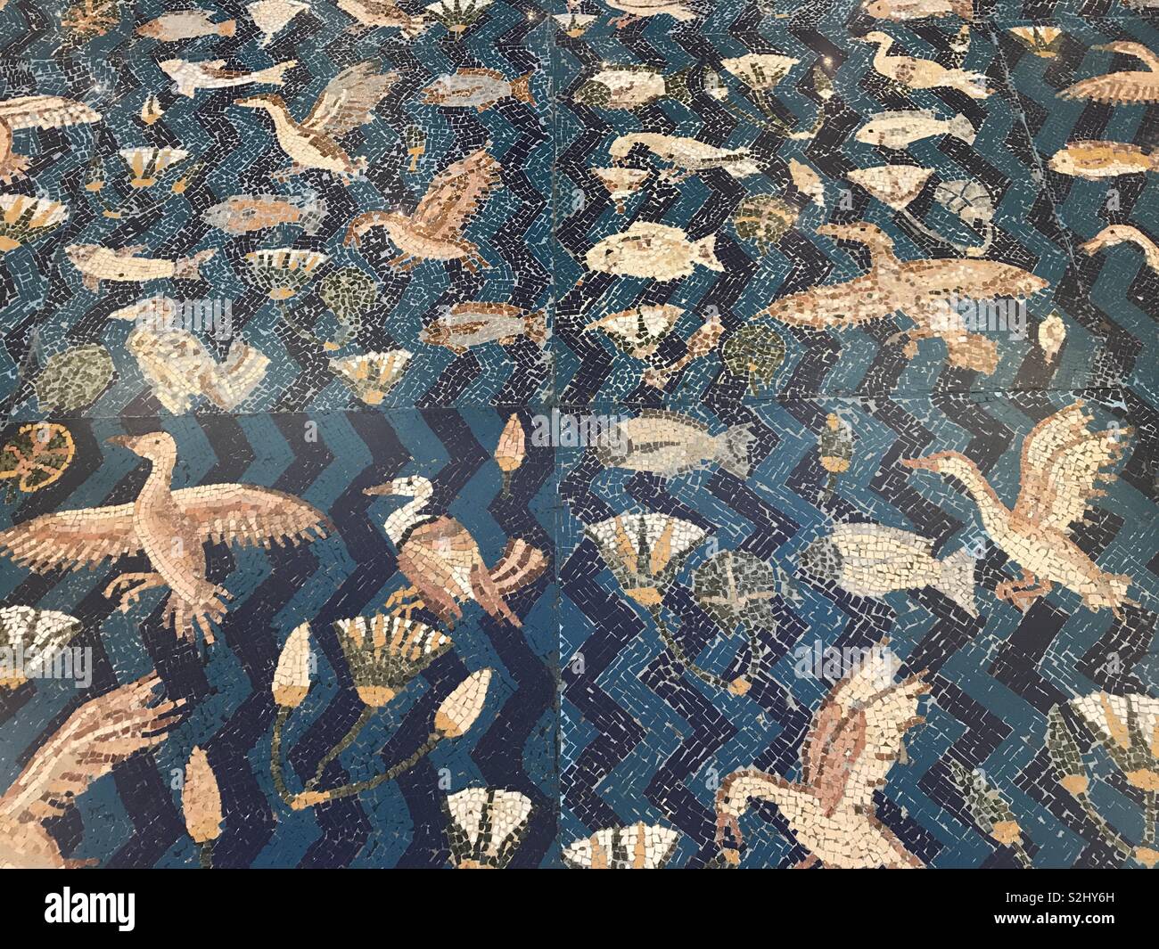 Mosaïque de poisson Banque de photographies et d’images à haute ...