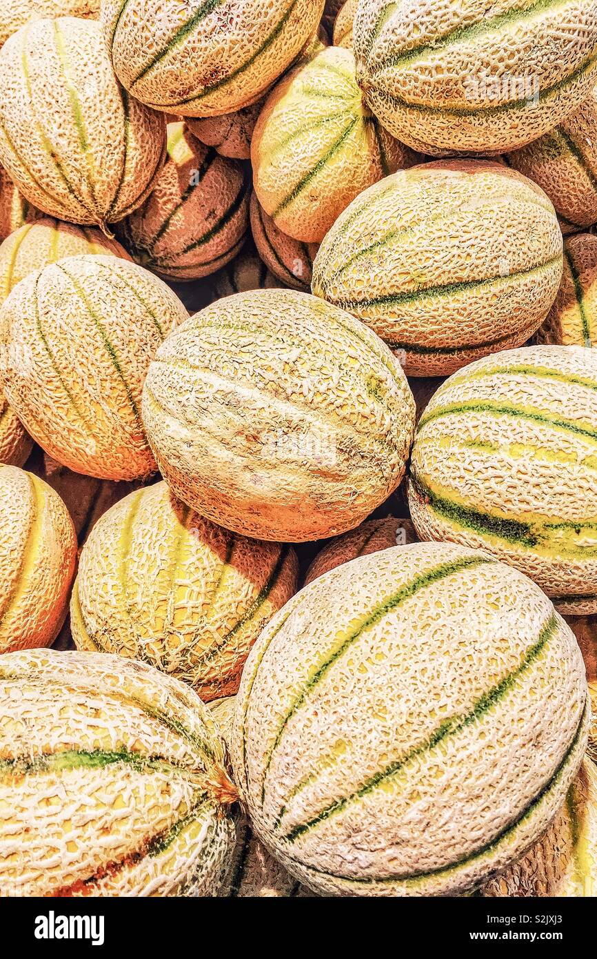 Melons Sucre Banque d'image et photos - Alamy