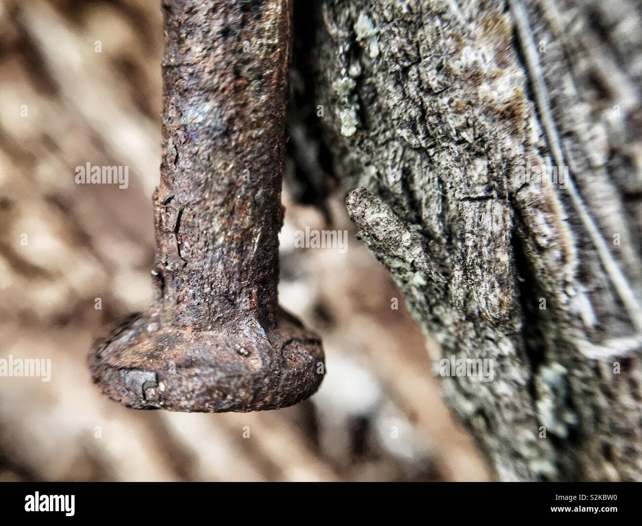 Ancien clou Banque de photographies et d’images à haute résolution - Alamy