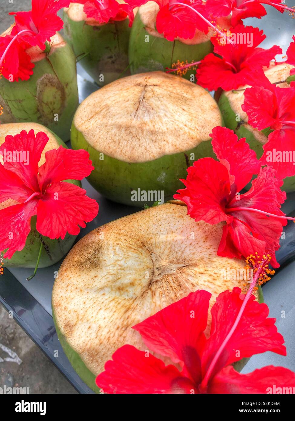 Fleurs de coco Banque de photographies et d’images à haute résolution ...