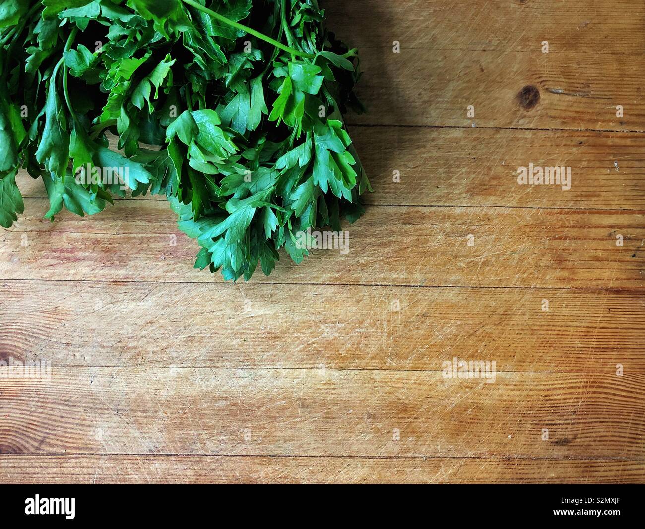 Les feuilles de persil Banque de photographies et d’images à haute ...