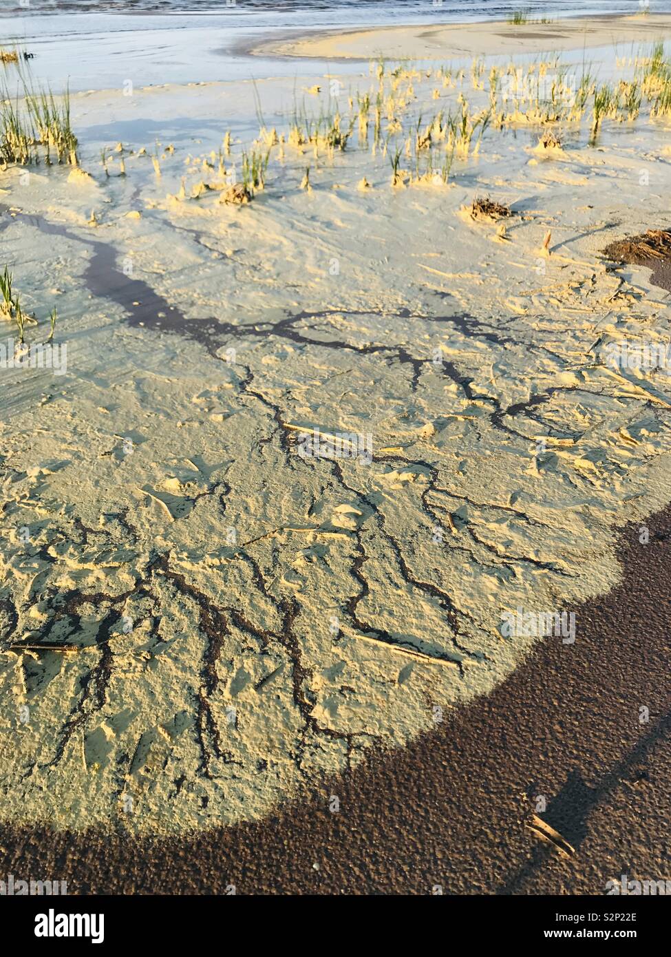 Mer jaune Banque de photographies et d’images à haute résolution - Alamy