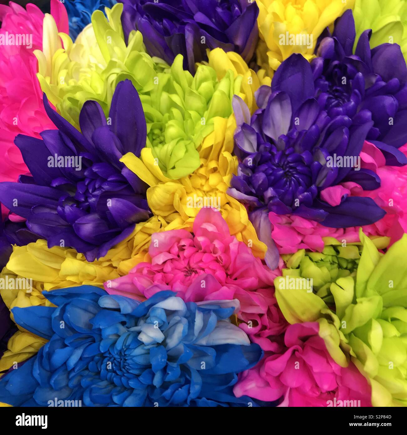 Arrangement de fleurs colorées Banque de photographies et d’images à ...