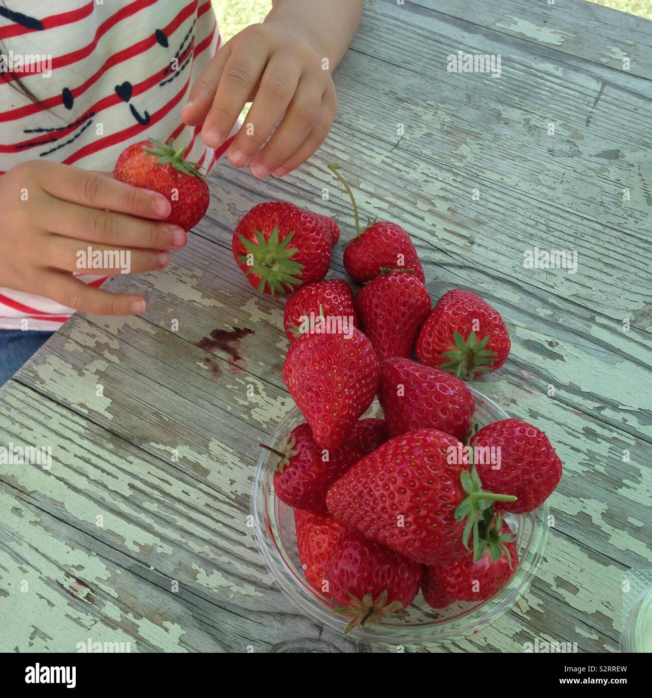 Enfant mangeant des fraises Banque de photographies et d’images à haute ...
