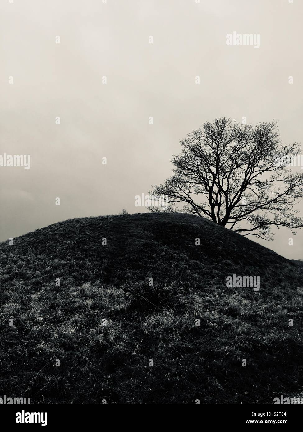 Viking burial Banque de photographies et d’images à haute résolution ...