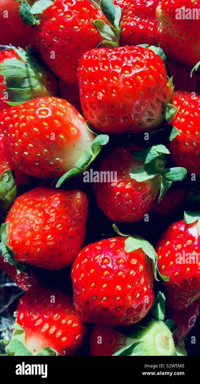 Petites fraises Banque de photographies et d’images à haute résolution ...