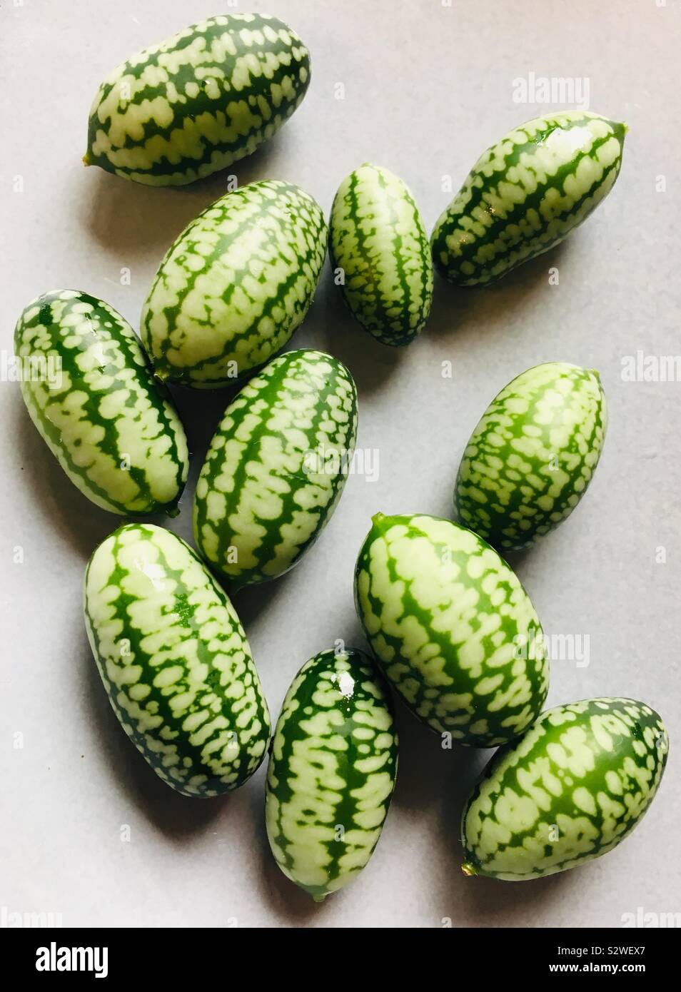 Concombre aigre mexicain Banque de photographies et d’images à haute ...