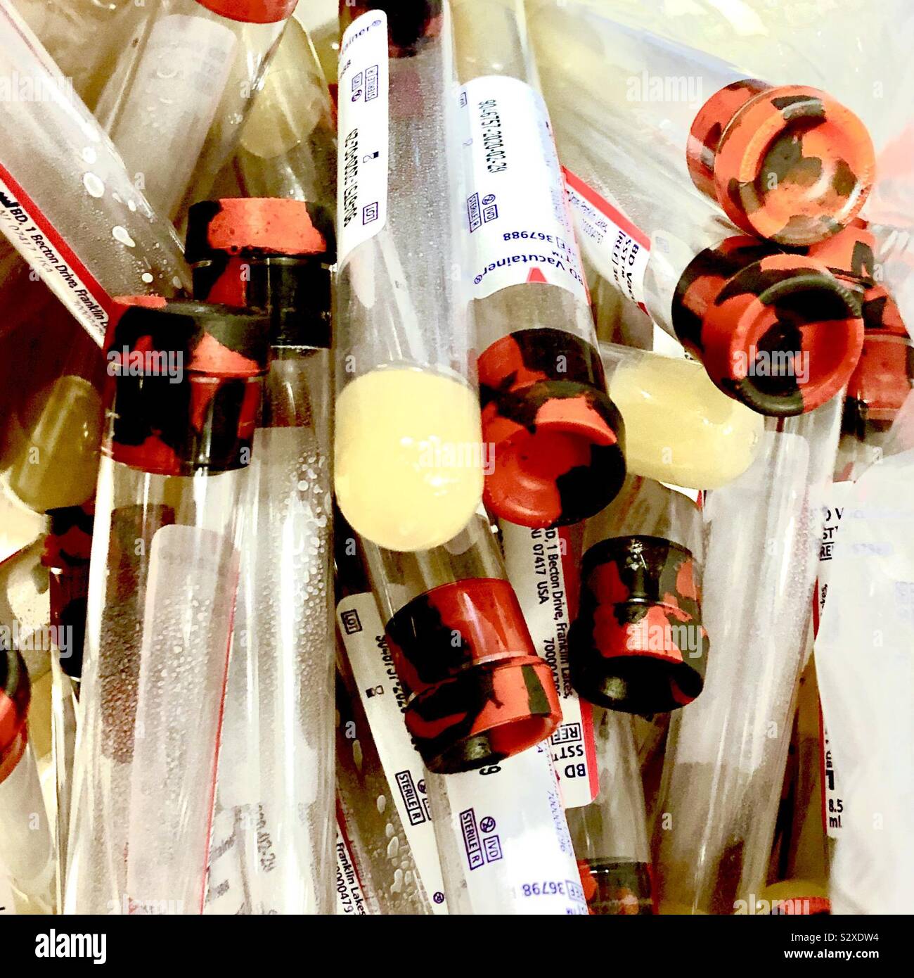 Blood collection tubes Banque de photographies et d’images à haute ...
