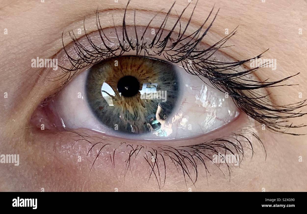 Hazel Eye Banque d'image et photos - Alamy