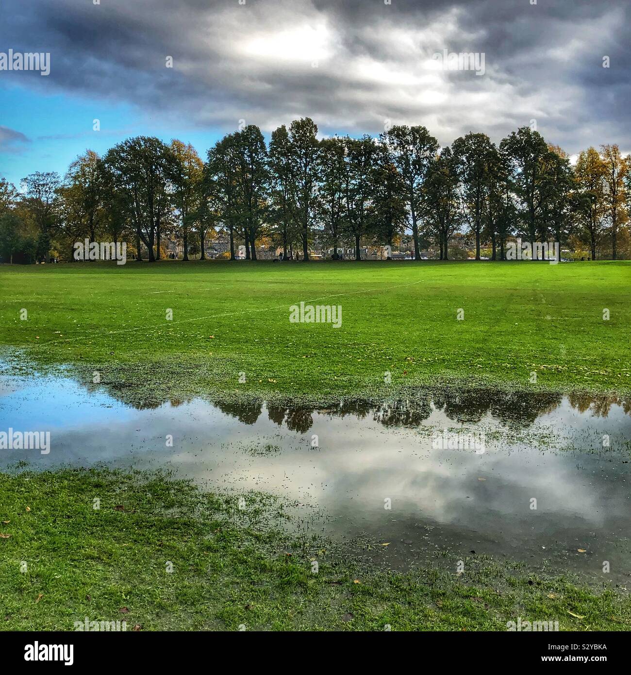 Grandes flaques d'eau dans l'herbe Banque de photographies et d’images ...