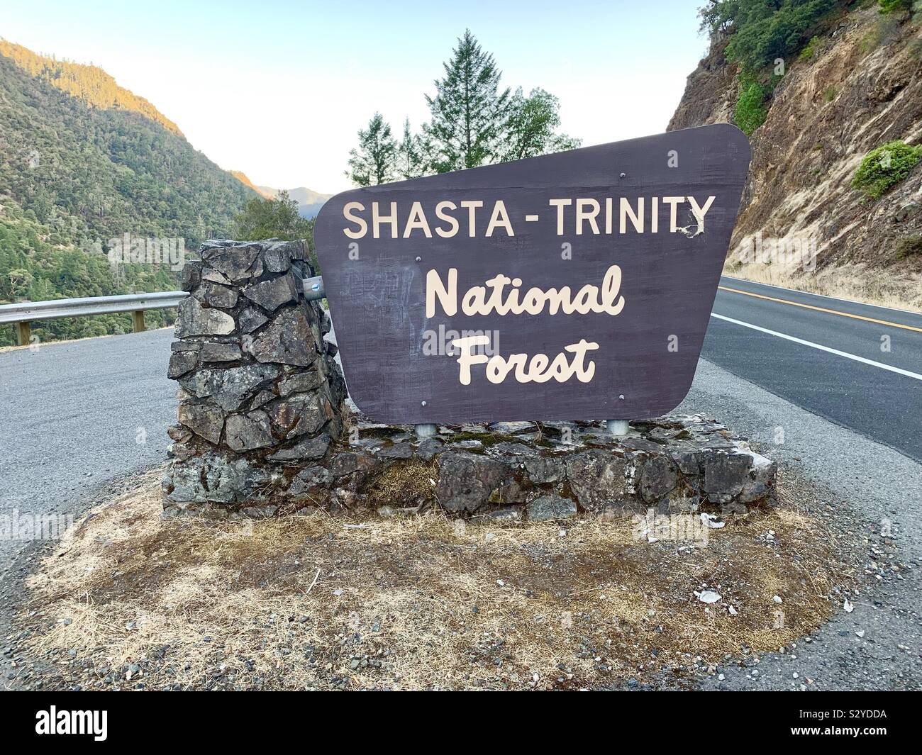 Forêt nationale de trinity Banque de photographies et d’images à haute ...