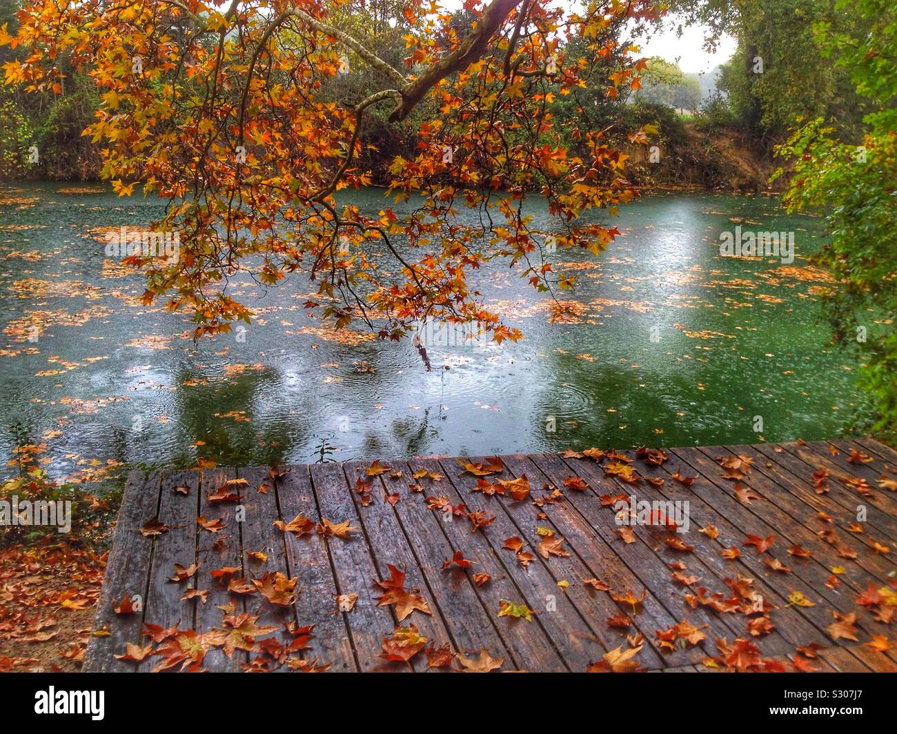 Saisons automne temps Banque de photographies et d’images à haute ...