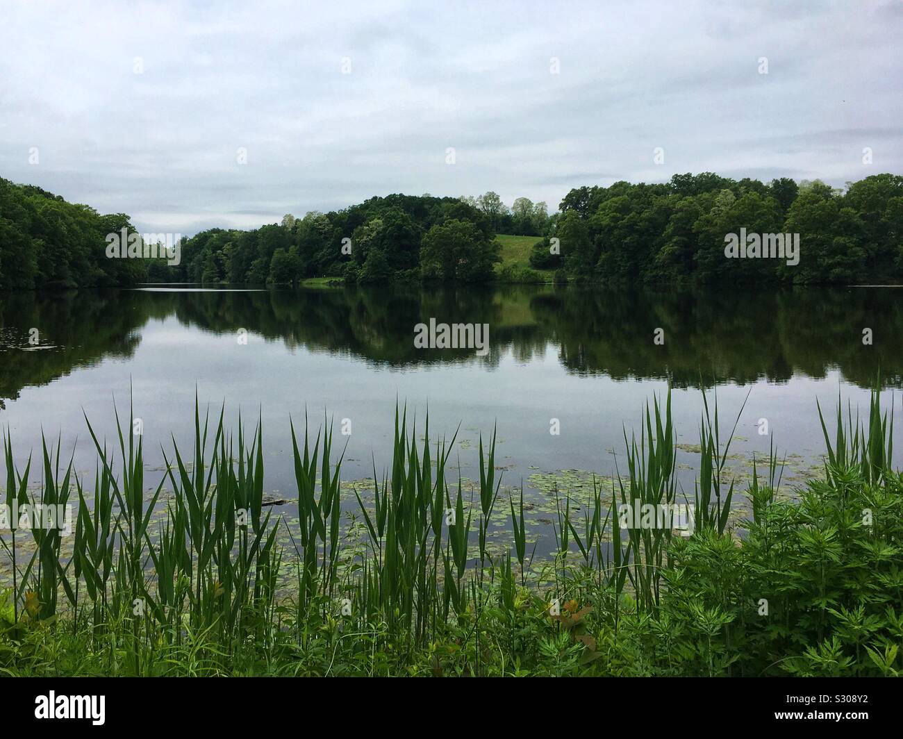 Réserve De Rockefeller State Park Banque d'image et photos - Alamy