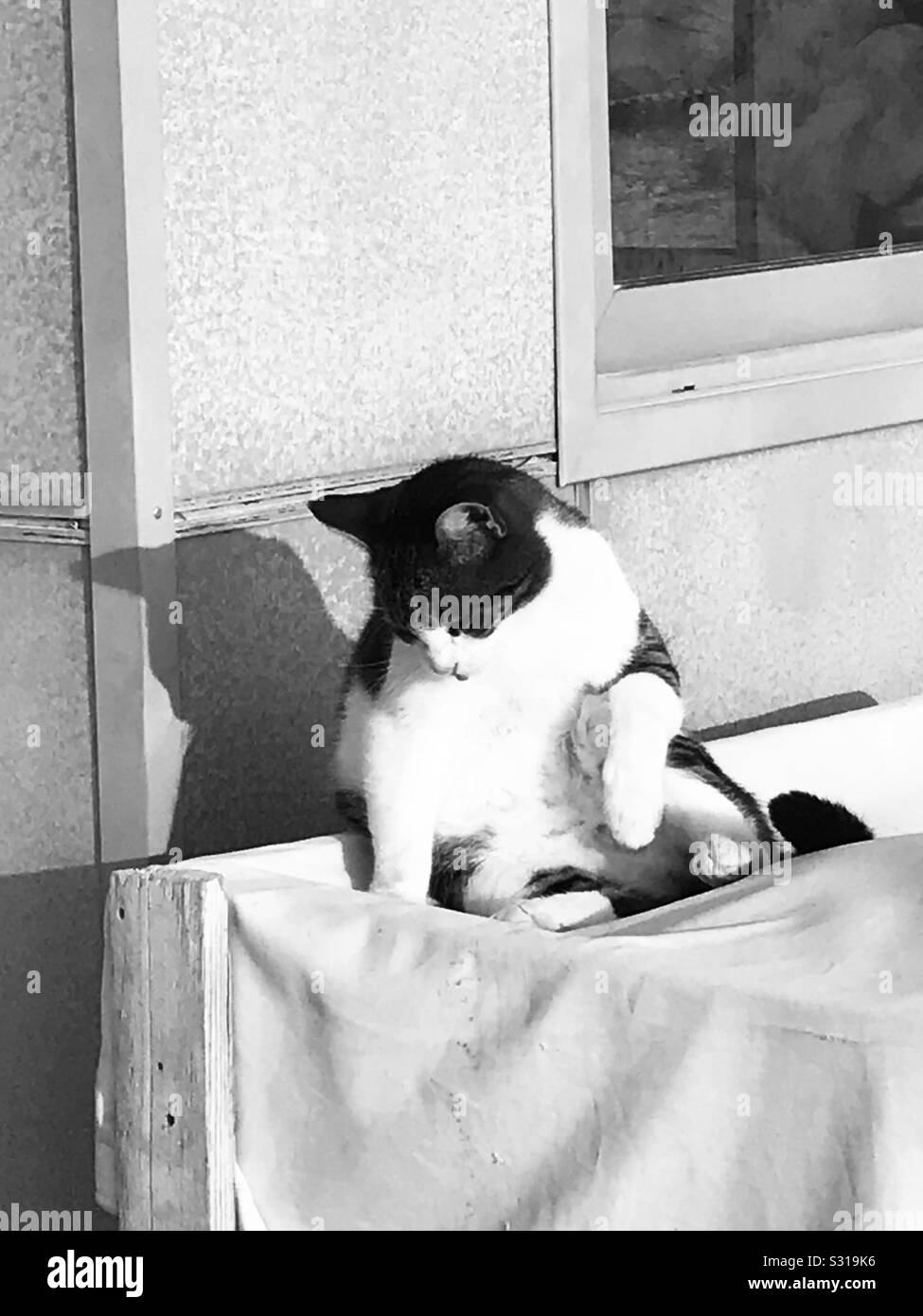 Acropole grèce Banque d'images noir et blanc - Alamy