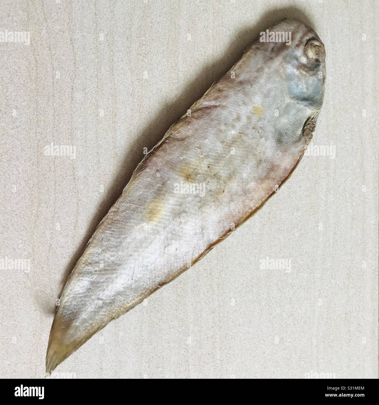 Poisson Langue Banque d'image et photos - Alamy