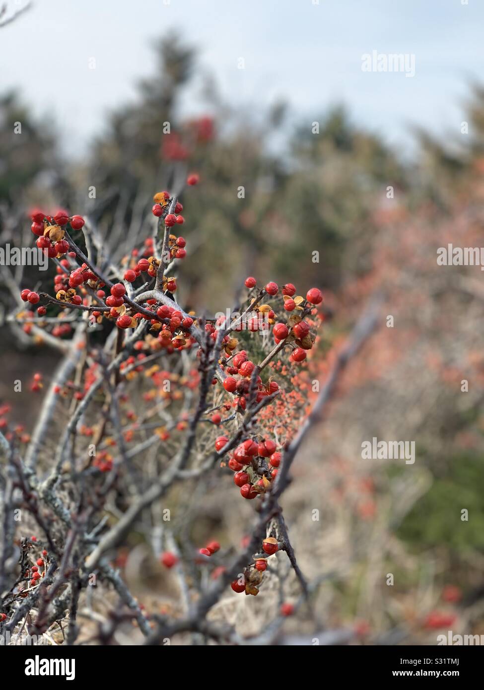 Robert moses beach Banque de photographies et d’images à haute ...