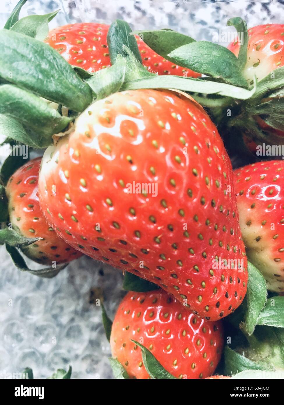 Grande fraise Banque de photographies et d’images à haute résolution ...