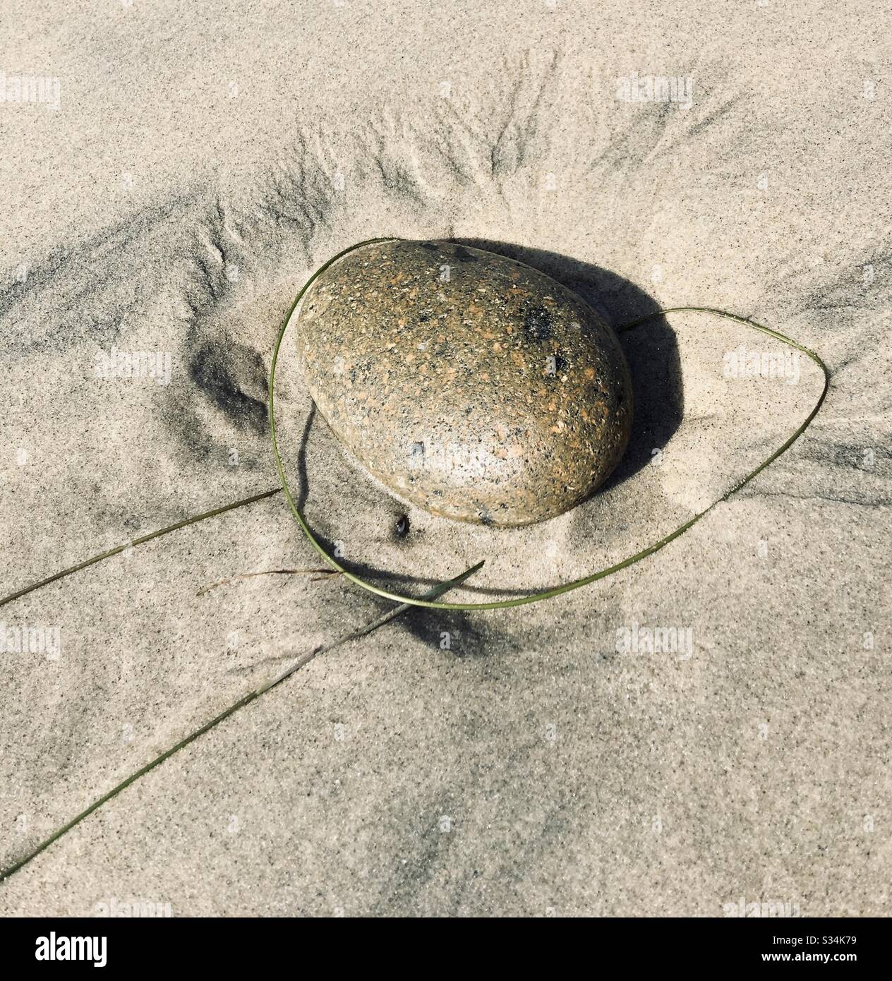 Nature monotone Banque de photographies et d’images à haute résolution ...