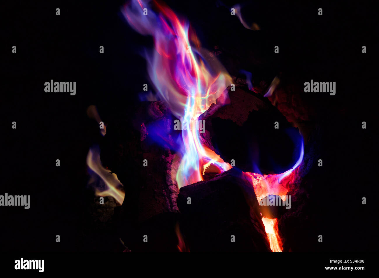 Rose feu Banque de photographies et d’images à haute résolution - Alamy